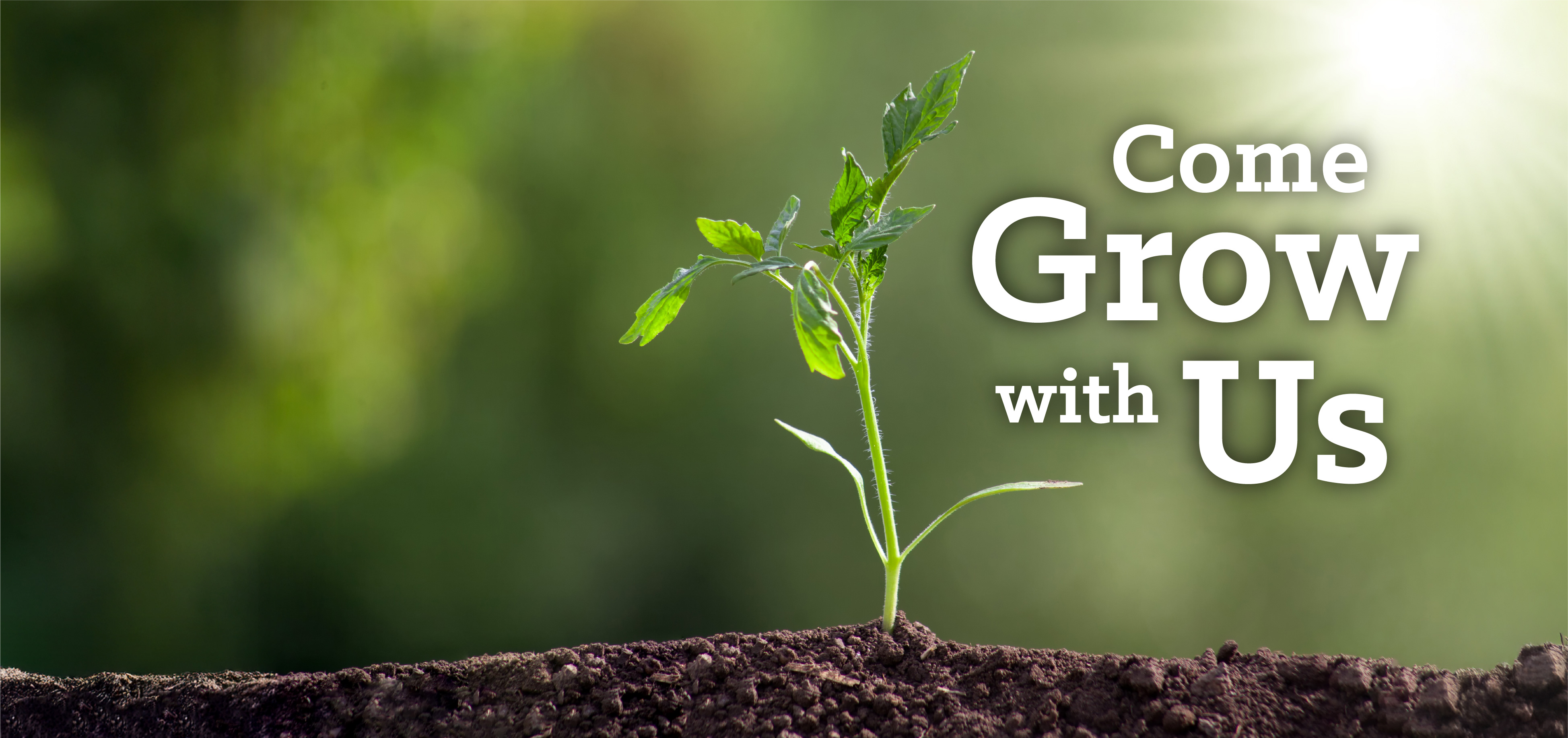 Red Gold | Premium Quality Canned Tomato Products, Sauces & Recipes